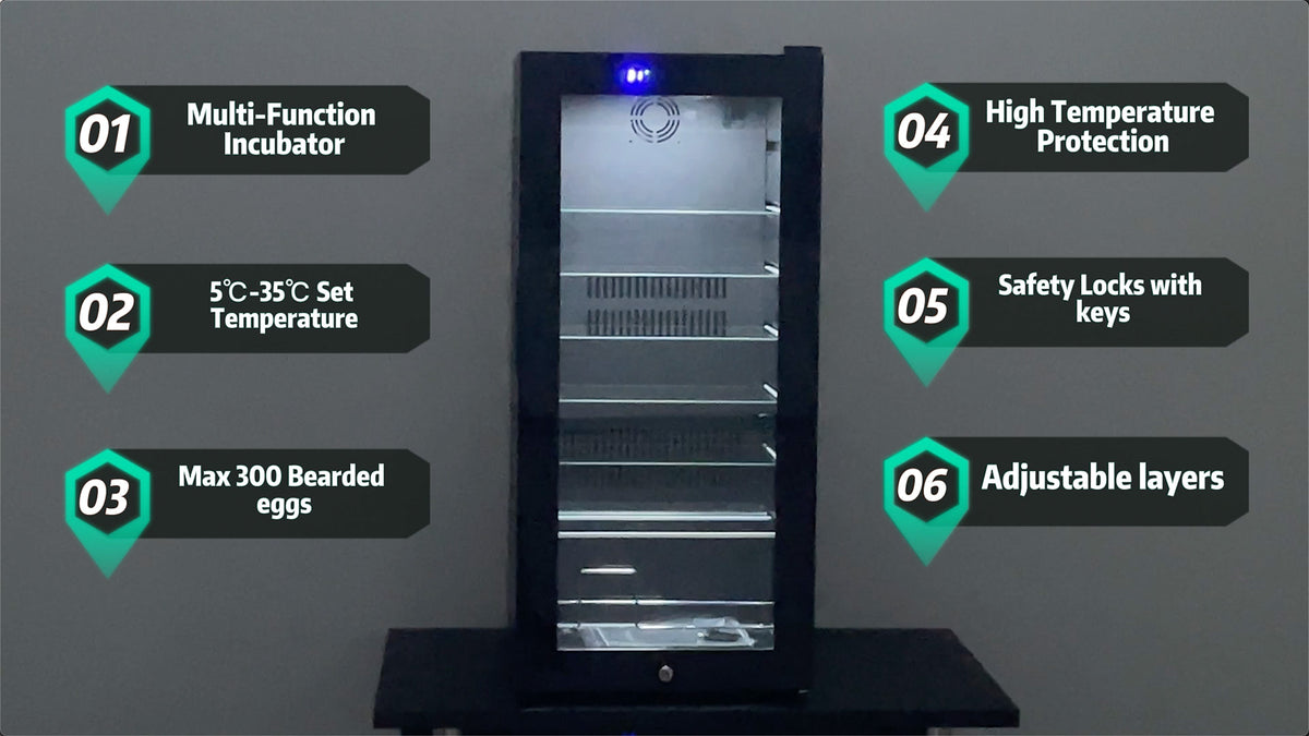 Incubator – Smart Herp Laboratory